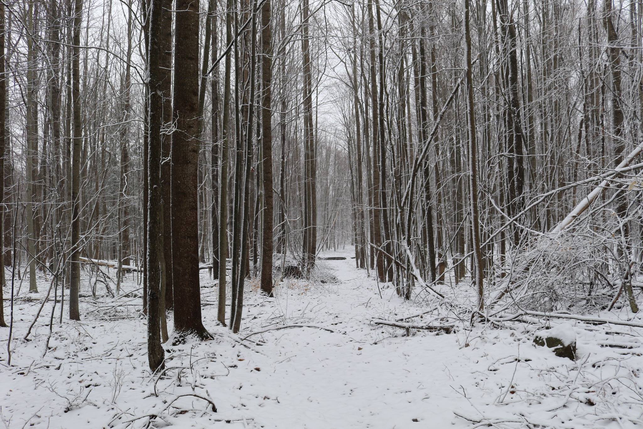 Zoar Valley | US travel with us!