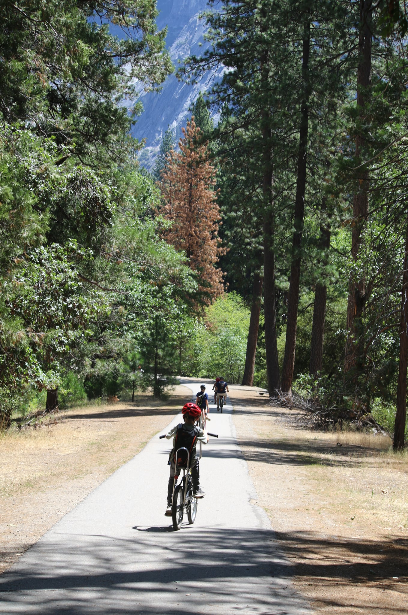 Yosemite National Park | US travel with us!
