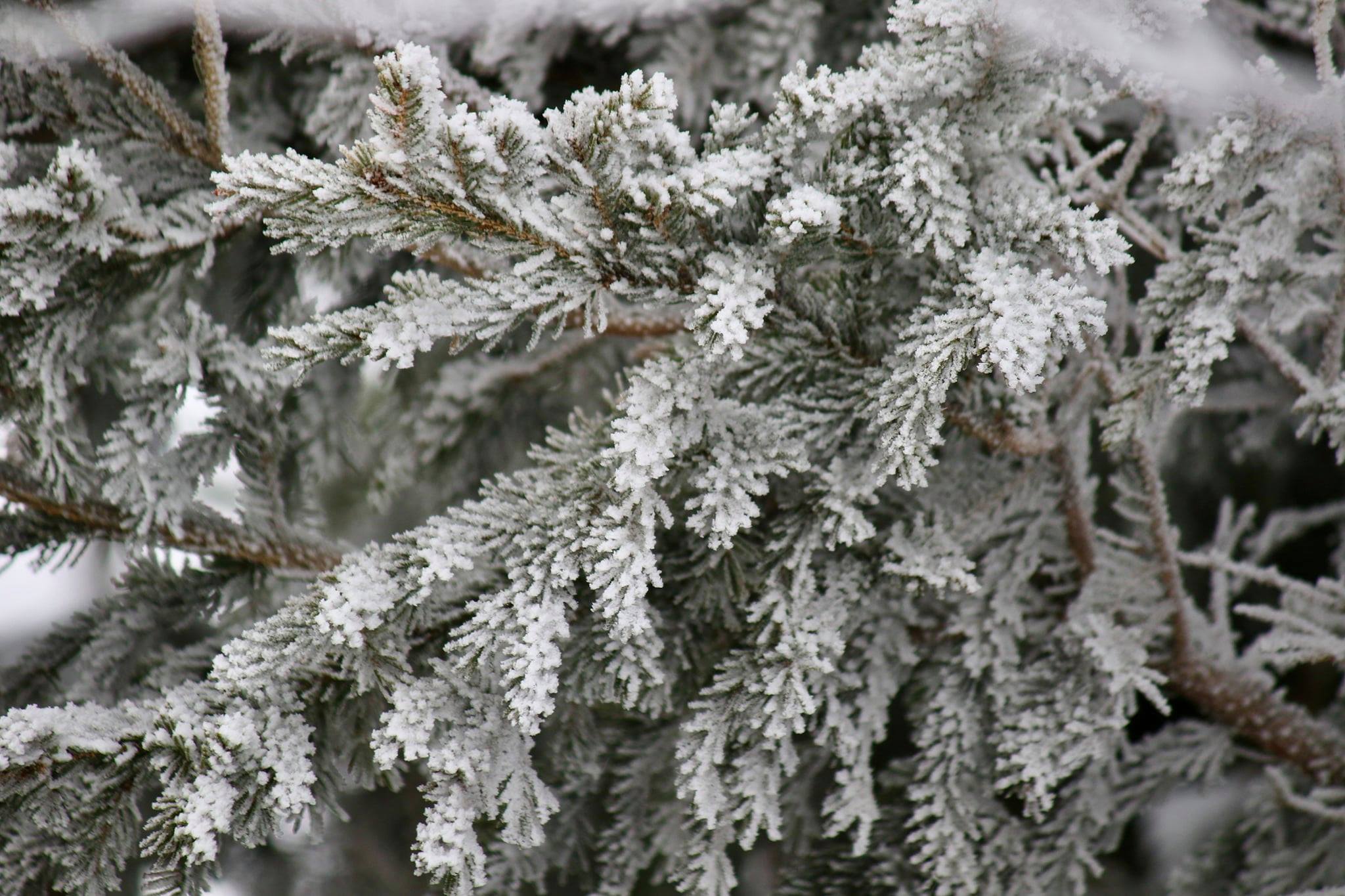 Tupper Lake Triad hiking challenge…in winter! | US travel with us!