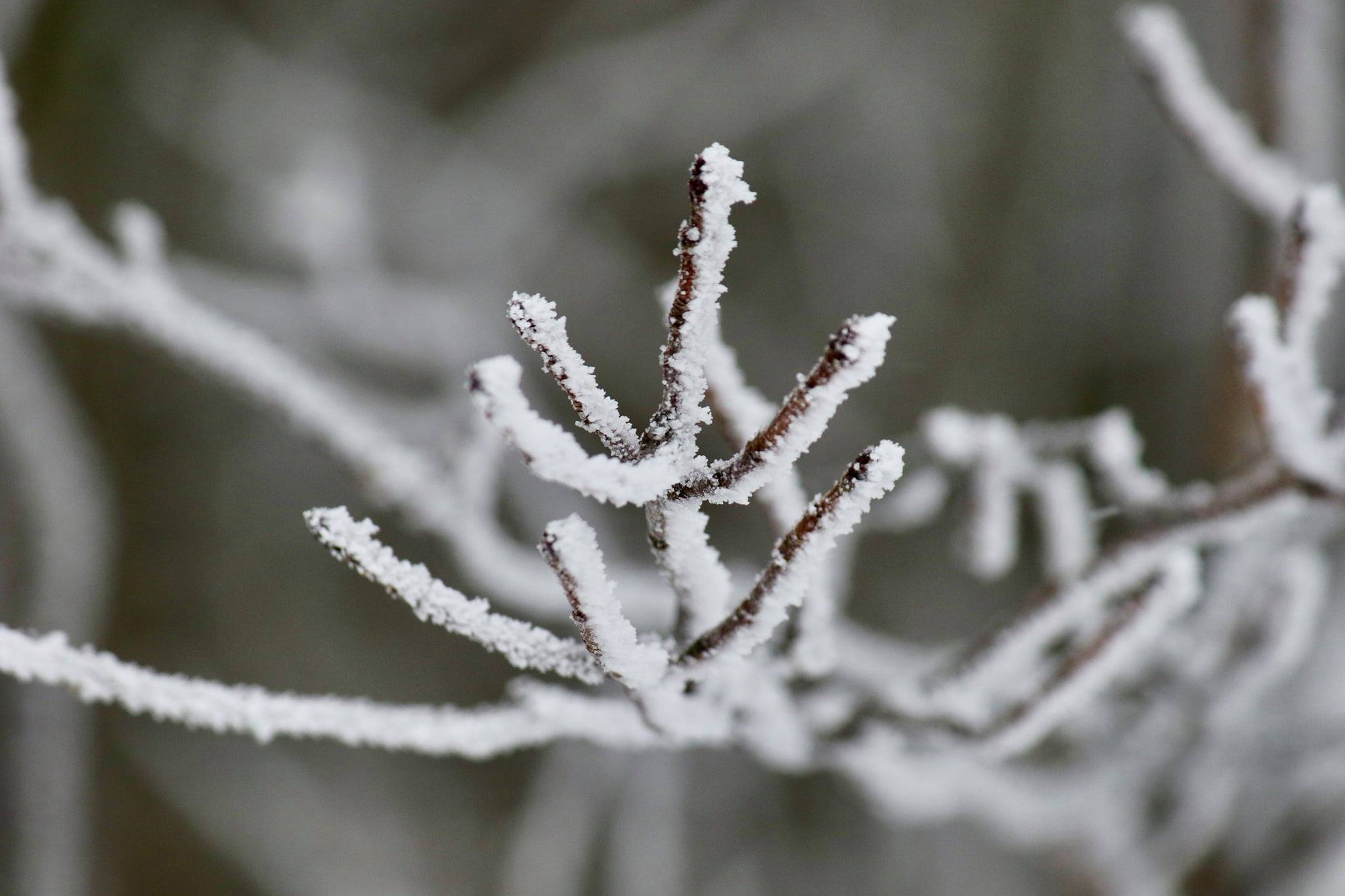 Tupper Lake Triad hiking challenge…in winter! | US travel with us!