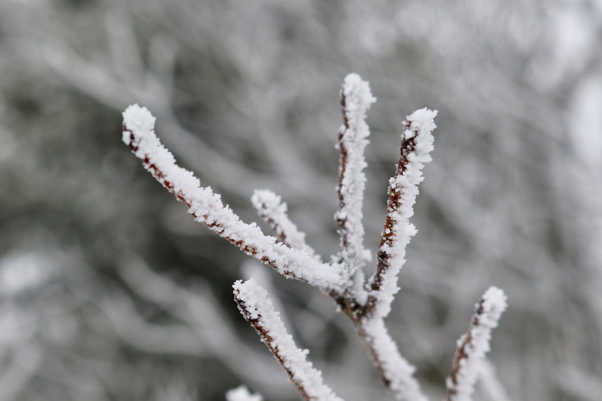 Tupper Lake Triad hiking challenge…in winter! | US travel with us!