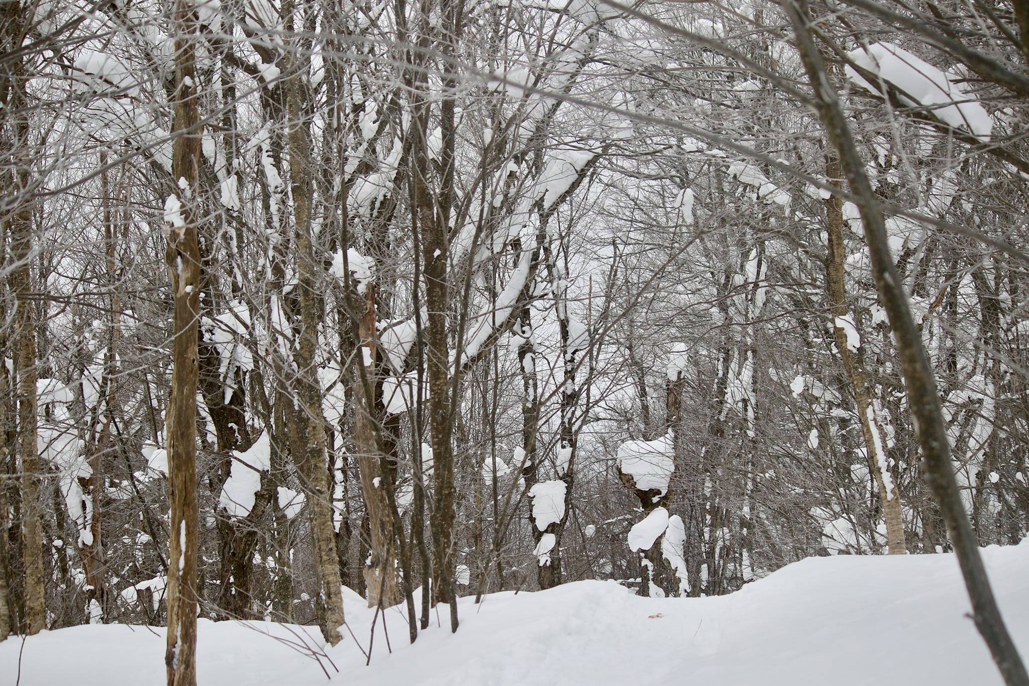 Tupper Lake Triad hiking challenge…in winter! | US travel with us!