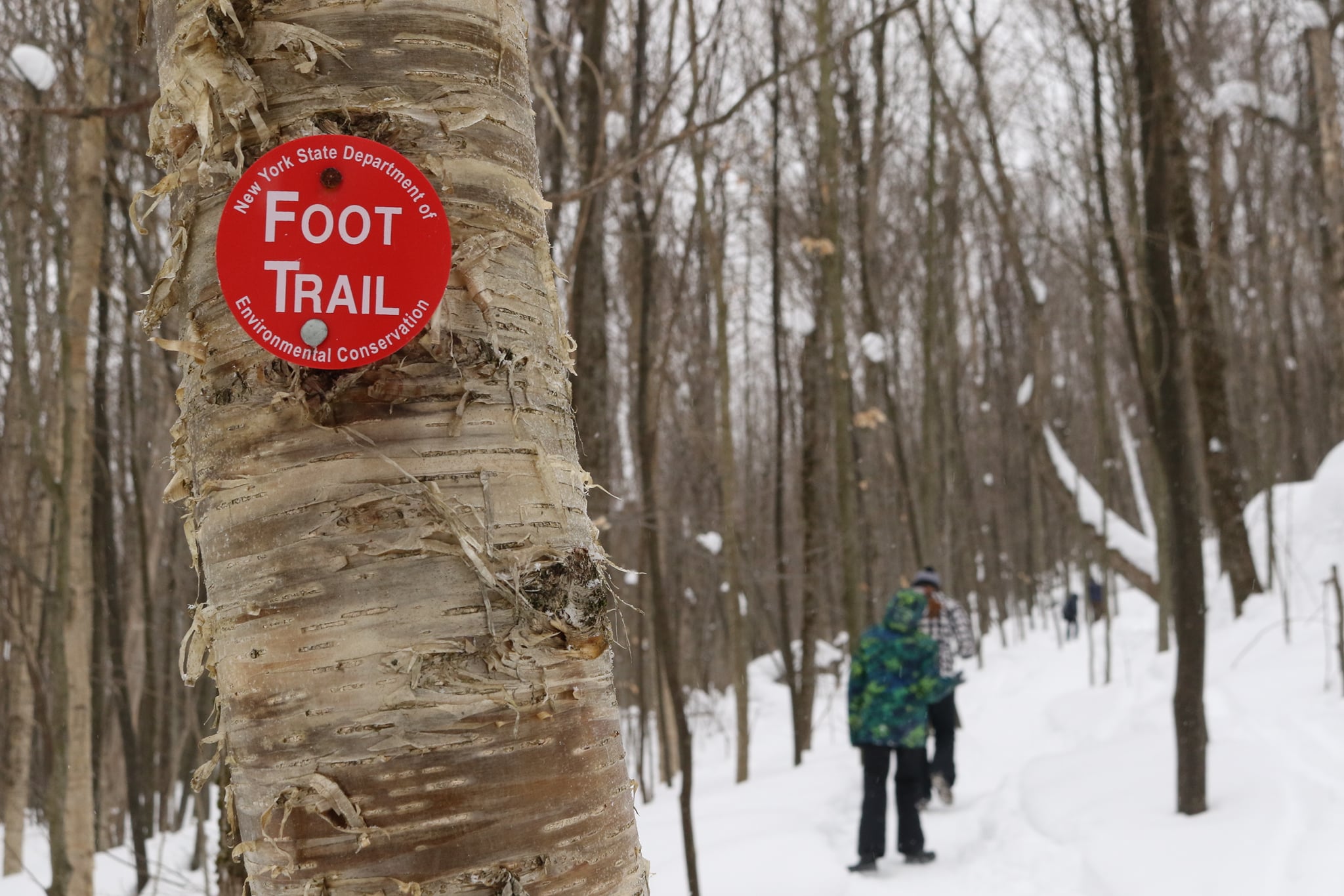 Tupper Lake Triad hiking challenge…in winter! | US travel with us!