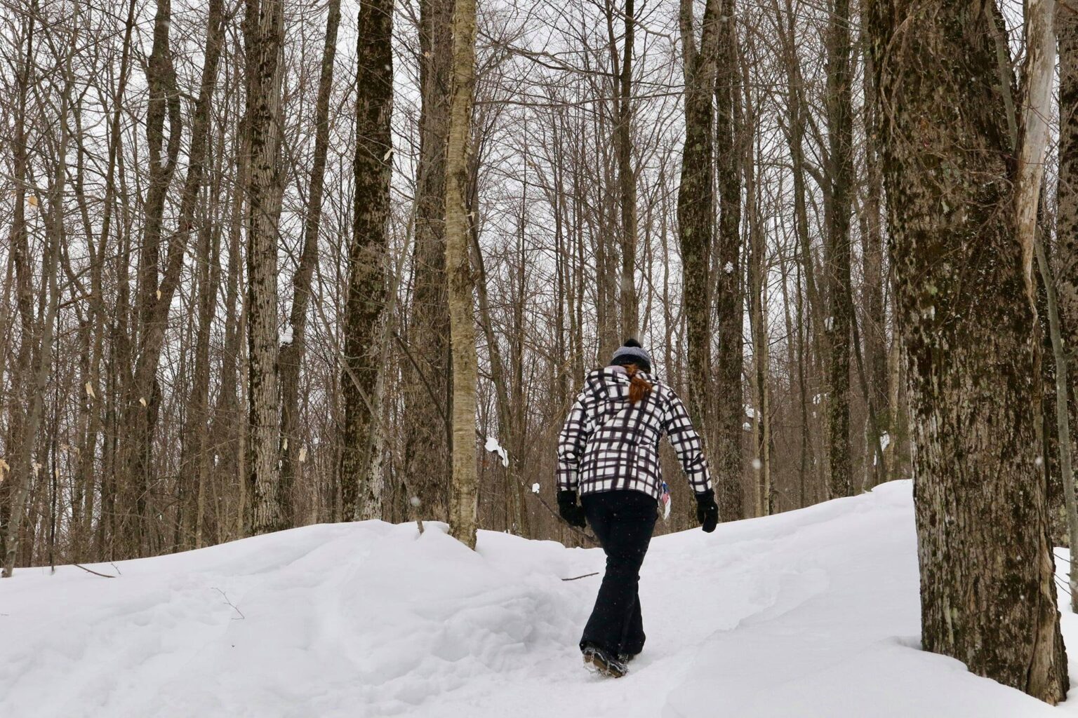 Tupper Lake Triad hiking challenge…in winter! | US travel with us!