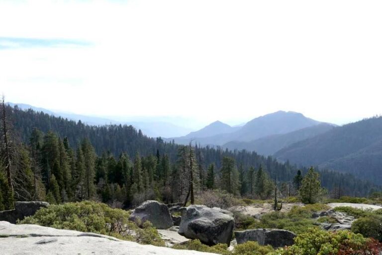 Sequoia National Park-what to expect when visiting in April | US travel ...