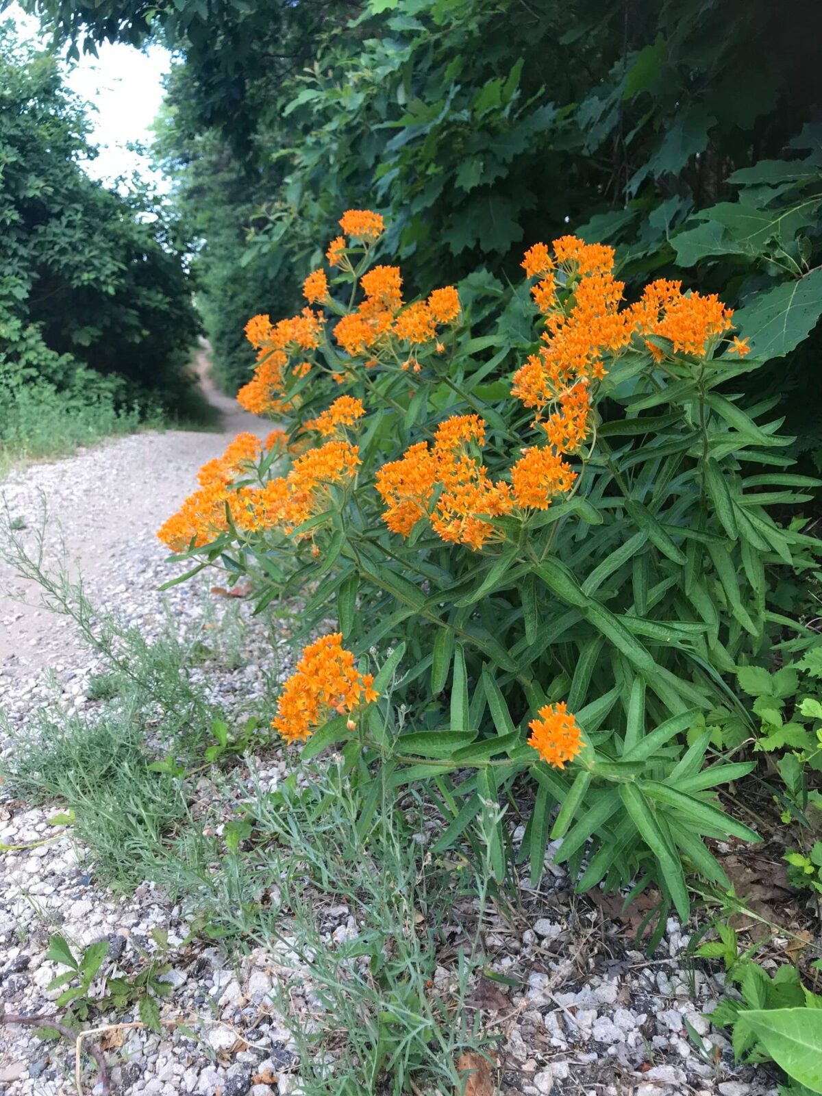 How to get to Riley Beach | US travel with us!