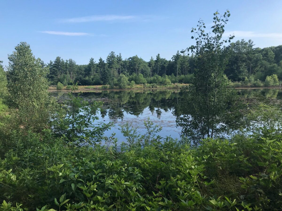 How to get to Riley Beach | US travel with us!