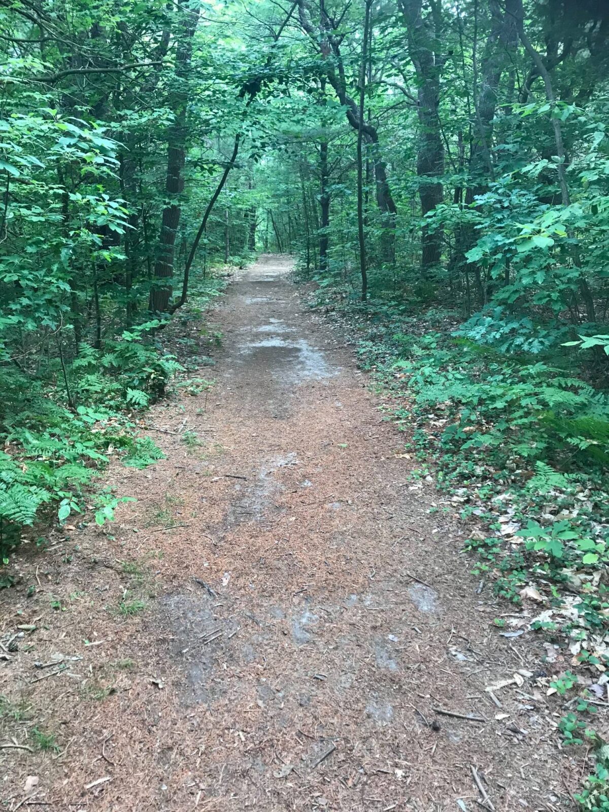 How to get to Riley Beach | US travel with us!